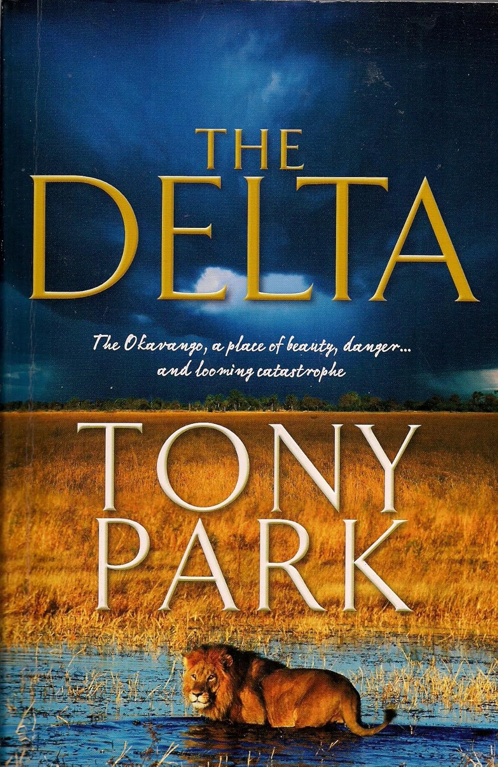 The Delta: Tony Park: 9781405039888: Amazon.com: Books