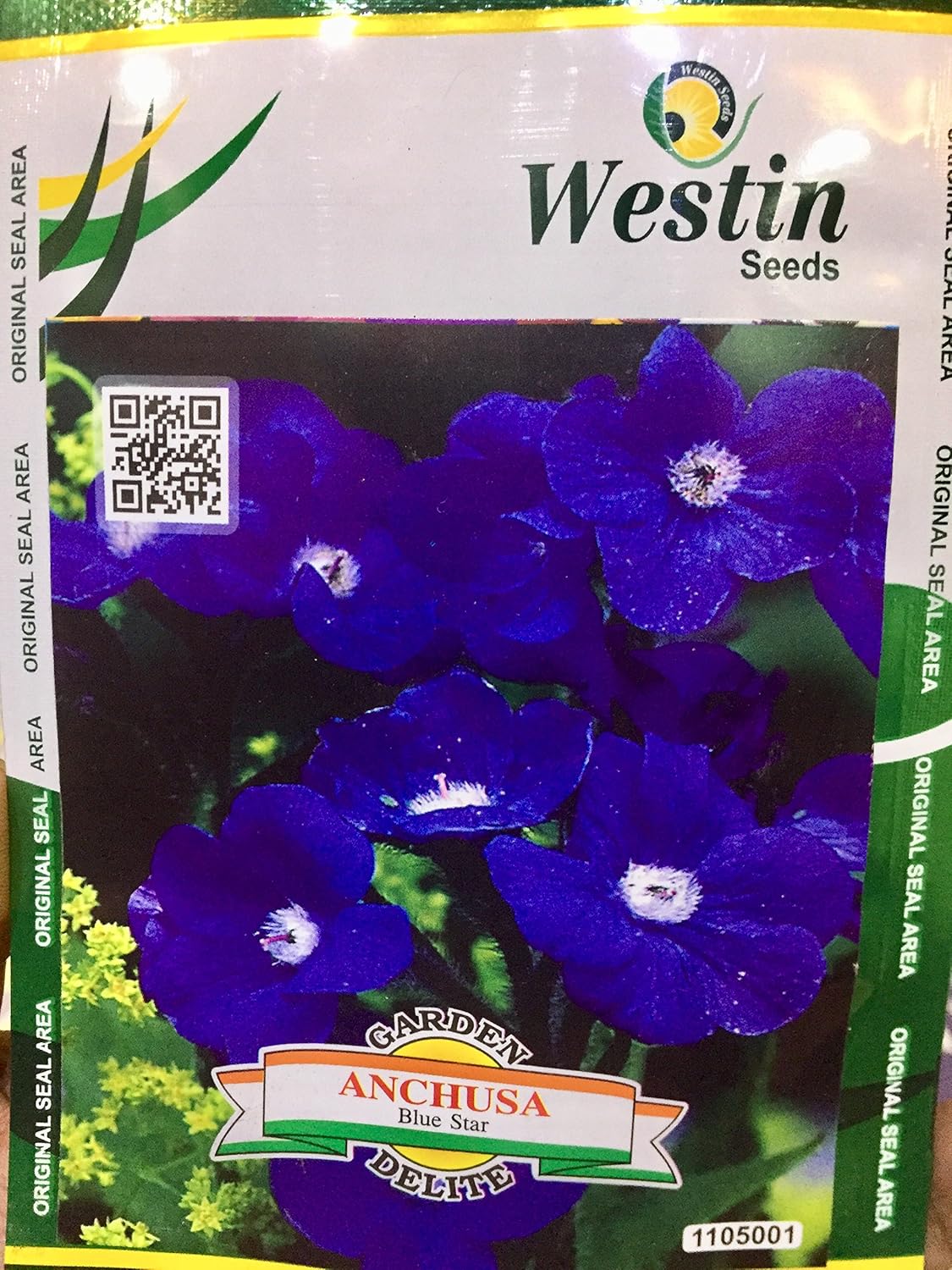 Anchusa Blue Star Flower Seeds : Amazon.in: Garden & Outdoors