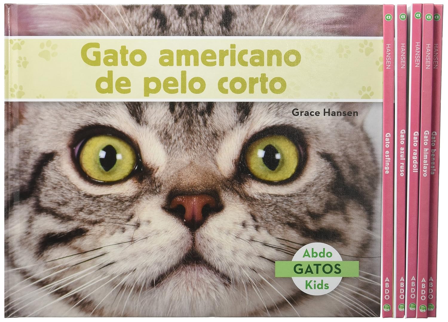 Gatos/ Cats: Gato Americano De Pelo Corto / Gato Azul Ruso / Gato ...