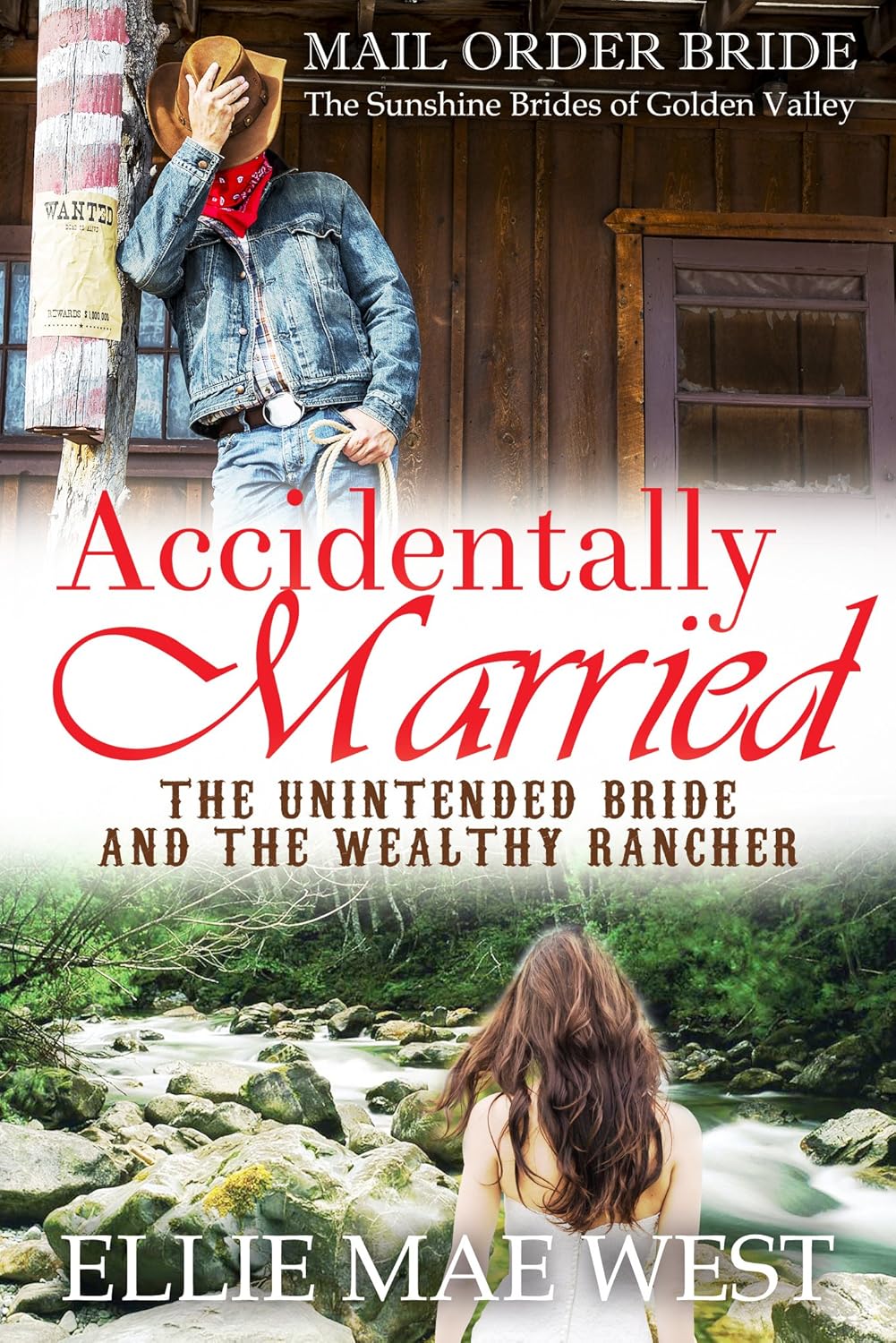 Accidentally Married: The Secret Mail Order Bride and the Wealthy ...