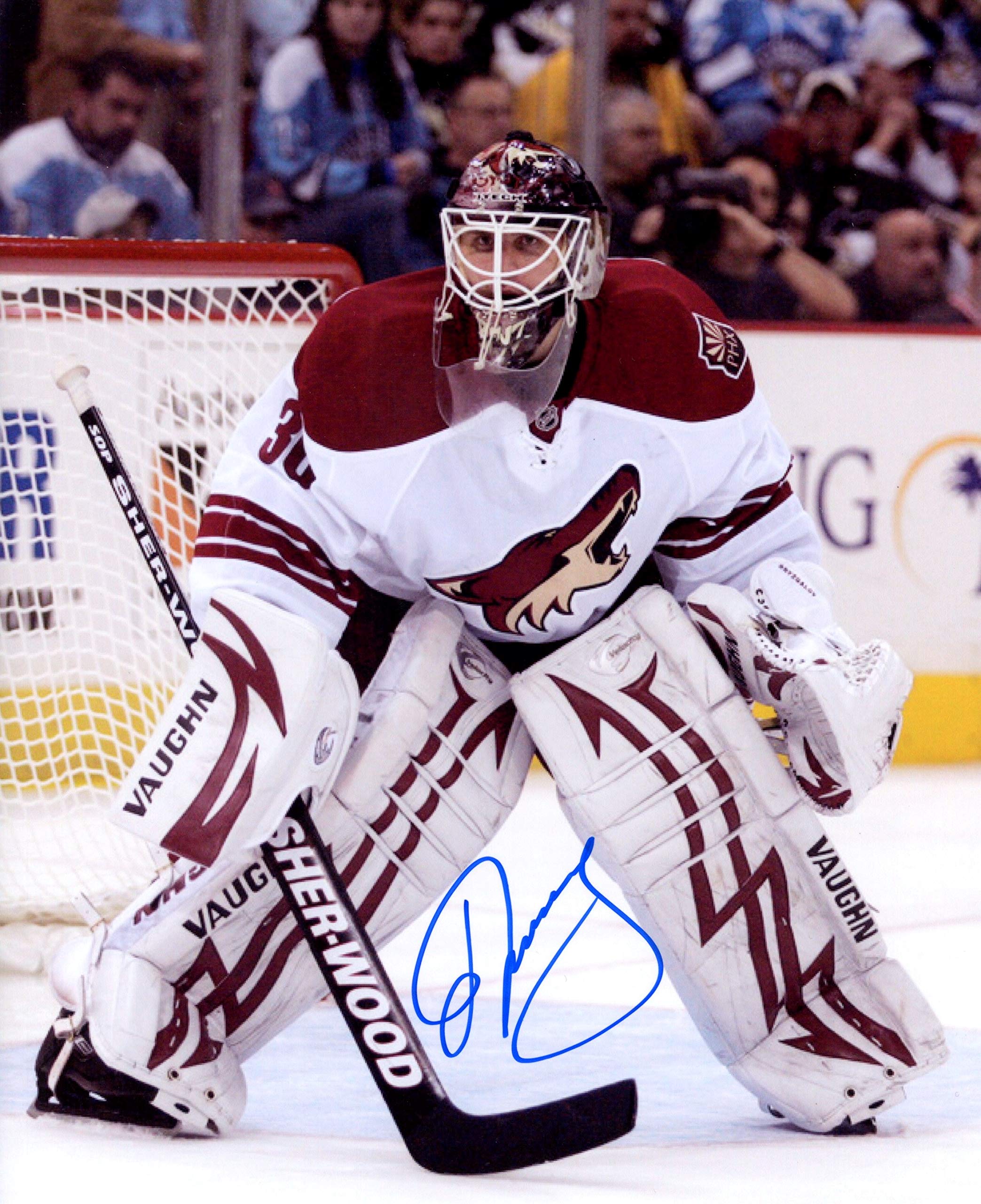 Ilya Bryzgalov Coyotes