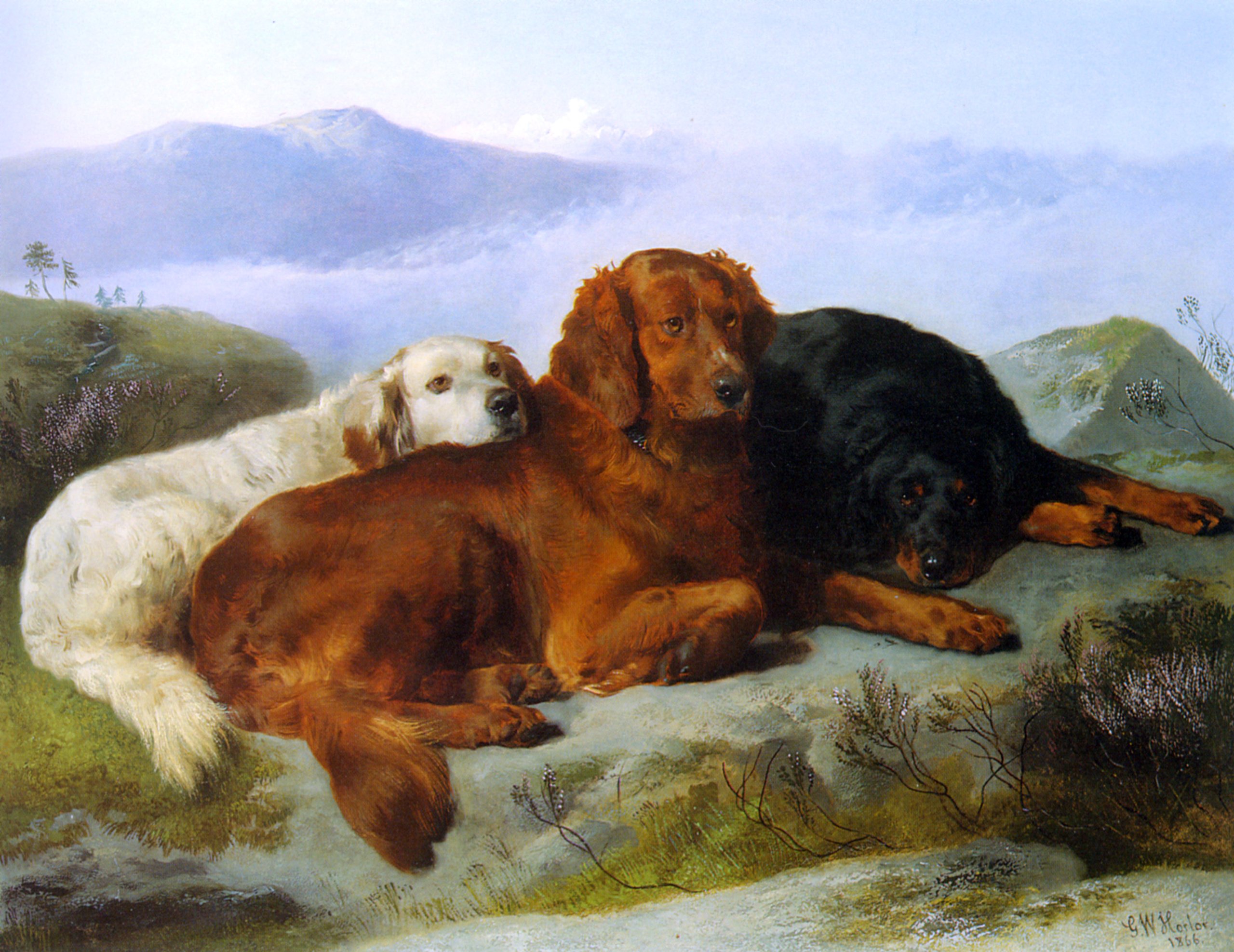 Are Red Golden Retrievers Part Irish Setter