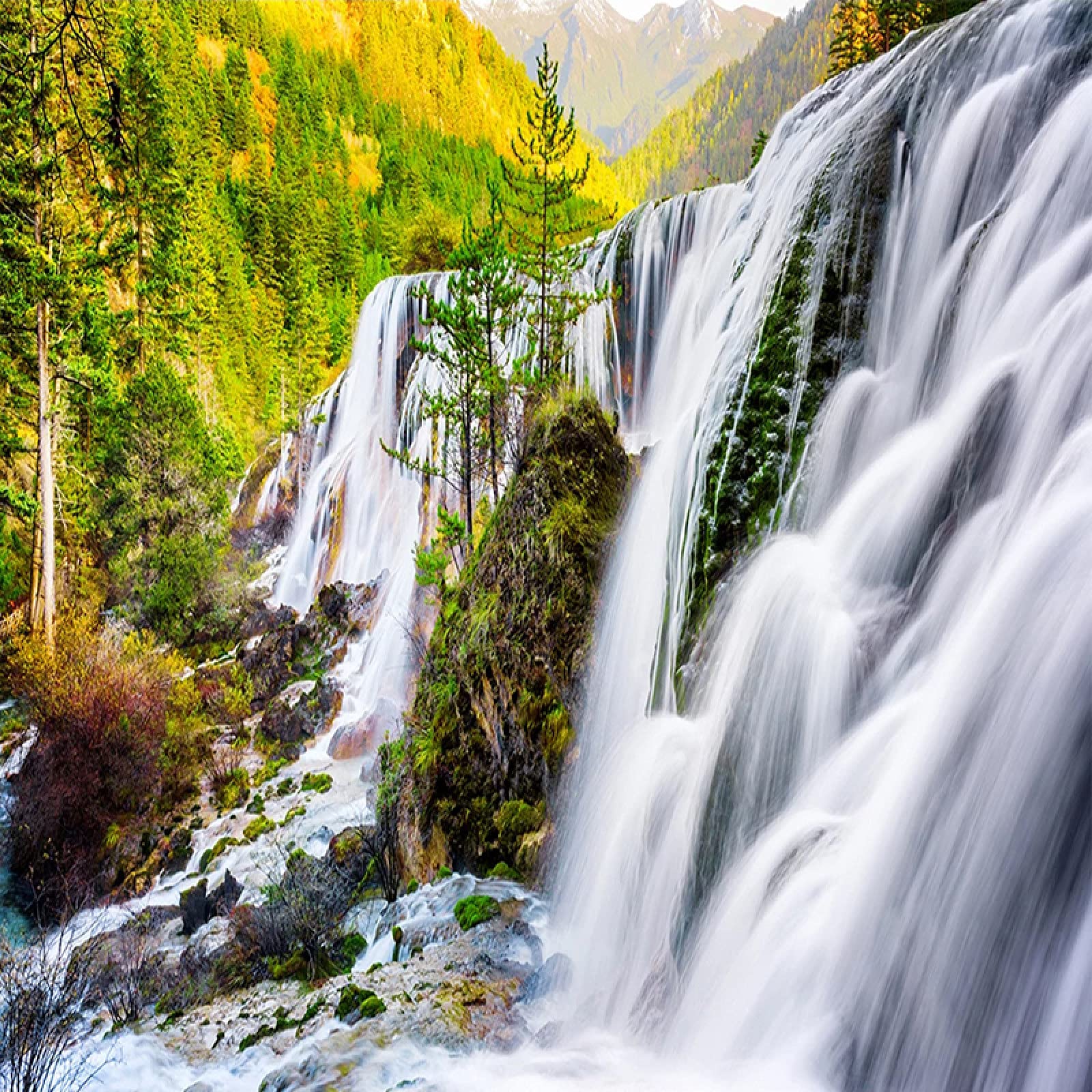 Wallpaper Nature Landscape Scenery