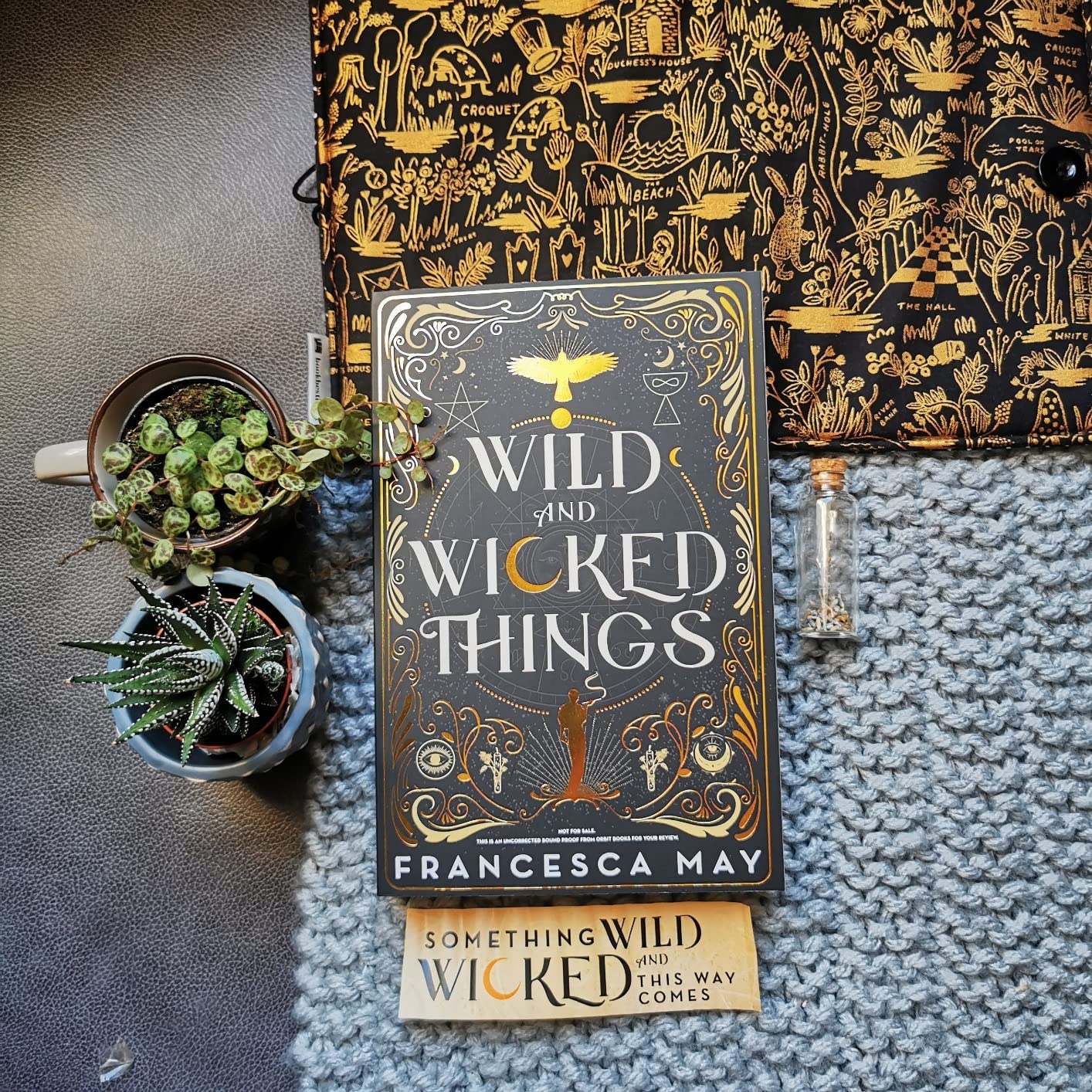 Wild and Wicked Things (Audio Download): Francesca May, Gemma Dawson ...