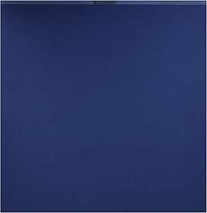 Bazzill Basics Paper Bazzill Cdstk 12x12 Mono Admiral,Blue : Amazon.co ...