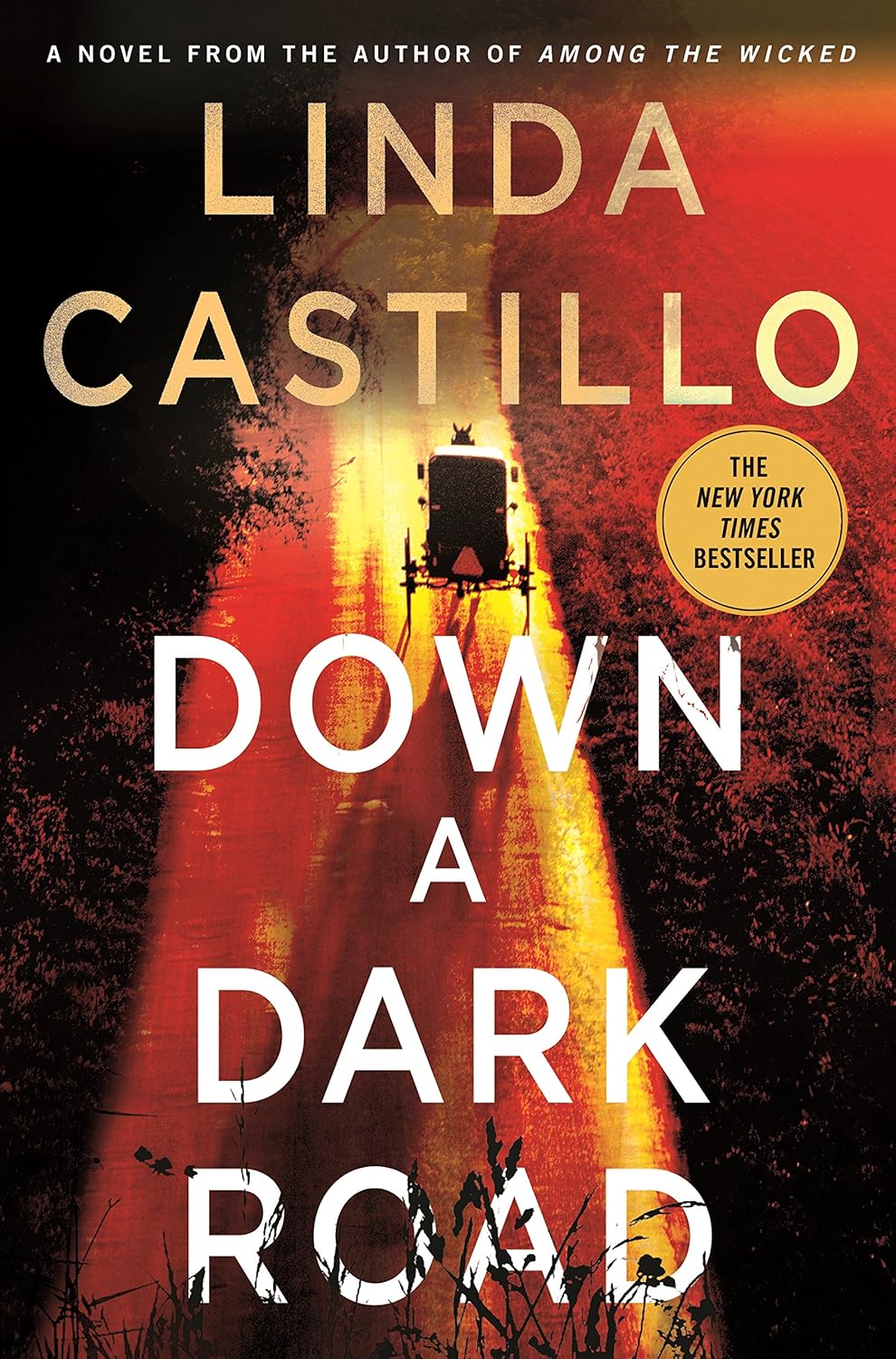 Down a Dark Road: A Kate Burkholder Novel: Castillo, Linda ...