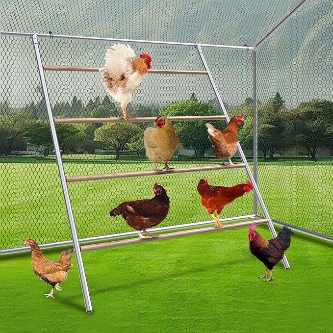 Amazon.com: Airynee Chicken Perch, Chicken Coop Roosting Perch for ...