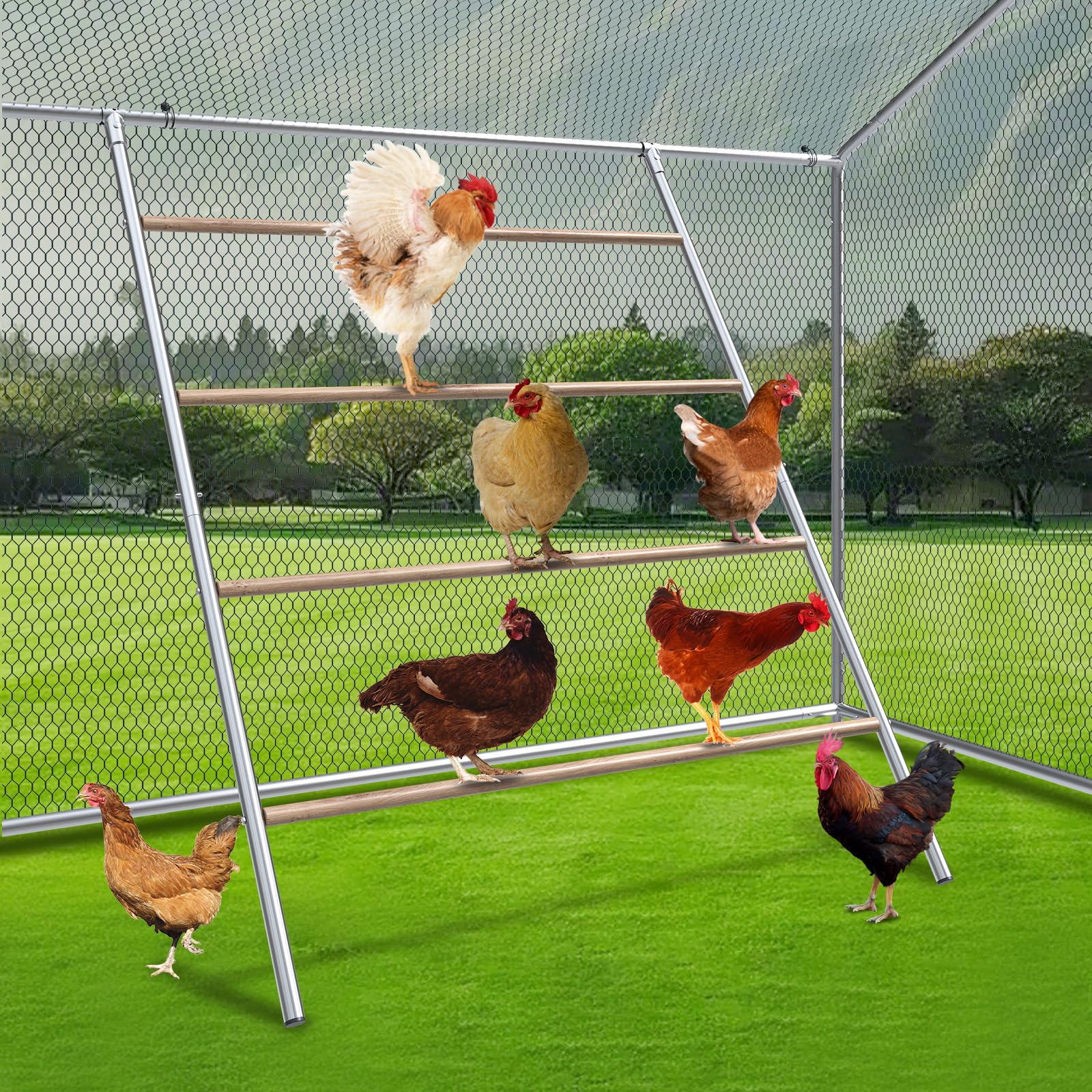 Amazon.com: Airynee Chicken Perch, Chicken Coop Roosting Perch for ...