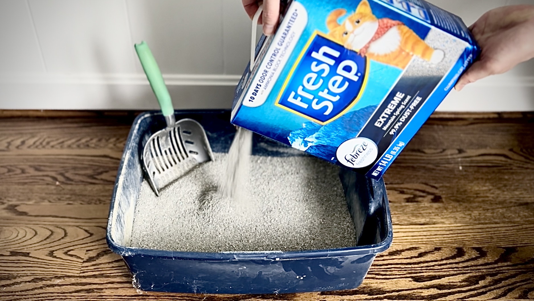 Watch Fresh Step Cat Litter Review and Demonstration on Amazon Live