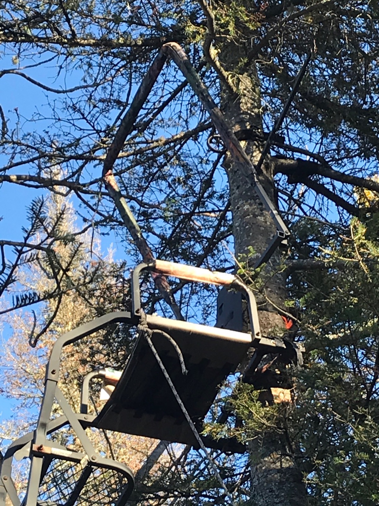 Amazon.com : Guide Gear Universal Padded Hunting Shooting Rest Rail for ...