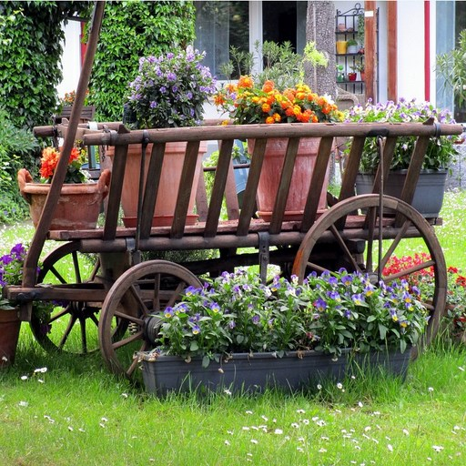 Xecare - App on Amazon Appstore