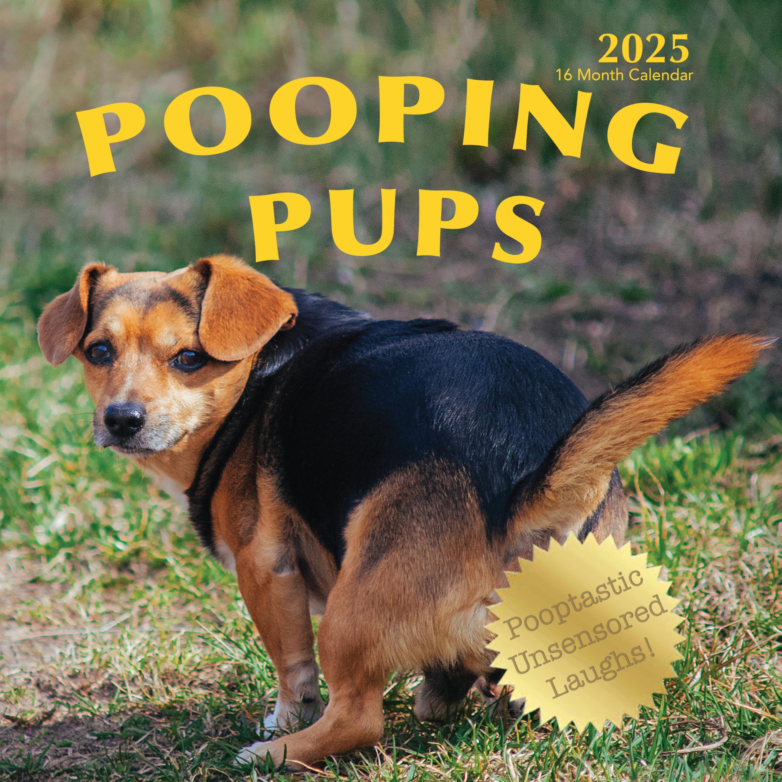 Funny Pooping Dog