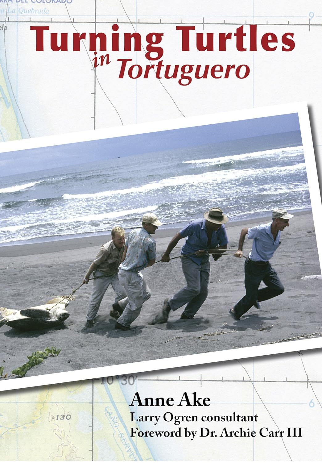 Turning Turtles in Tortuguero: Stories From the Origins of Sea Turtle ...