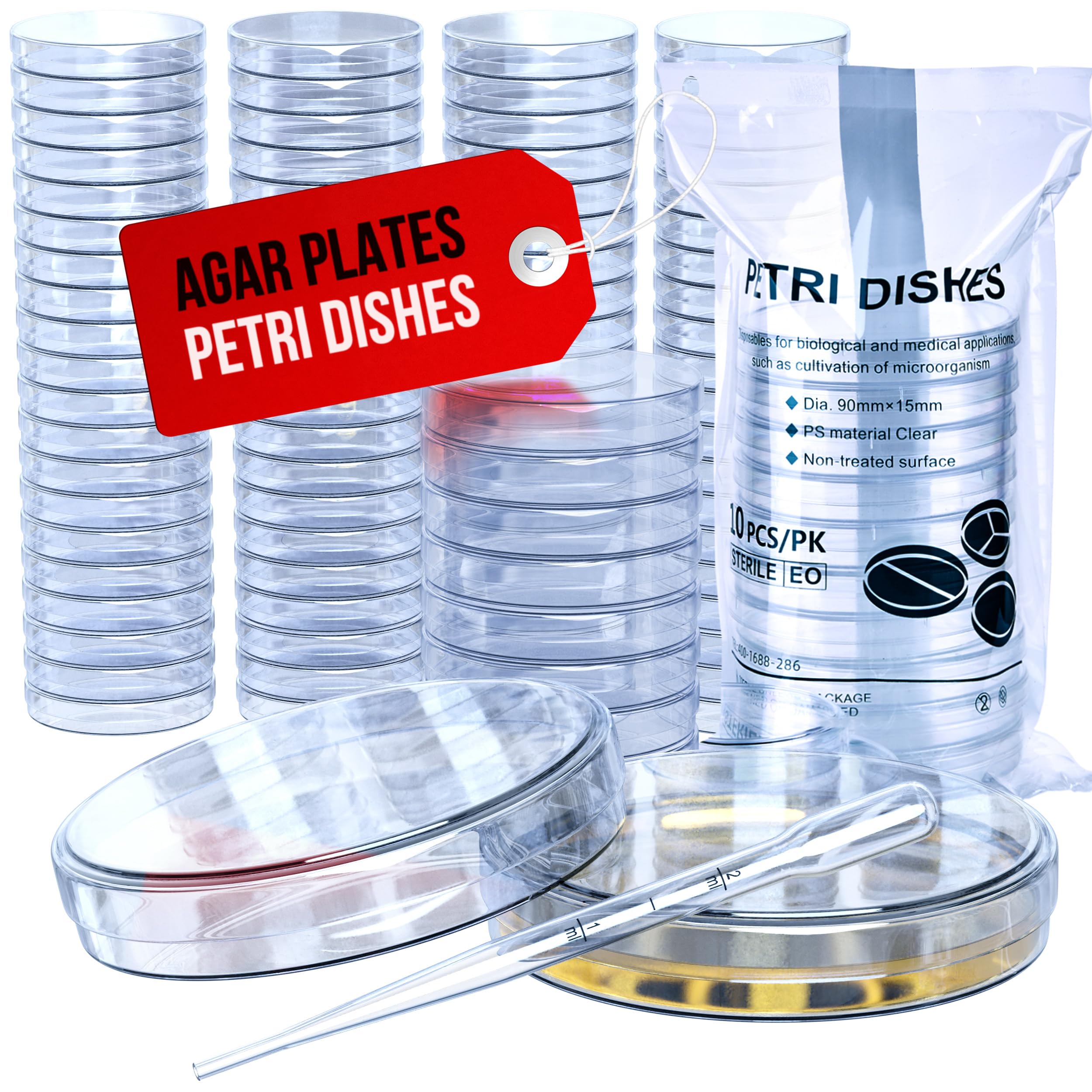 Petri Dish Bacteria Experiment