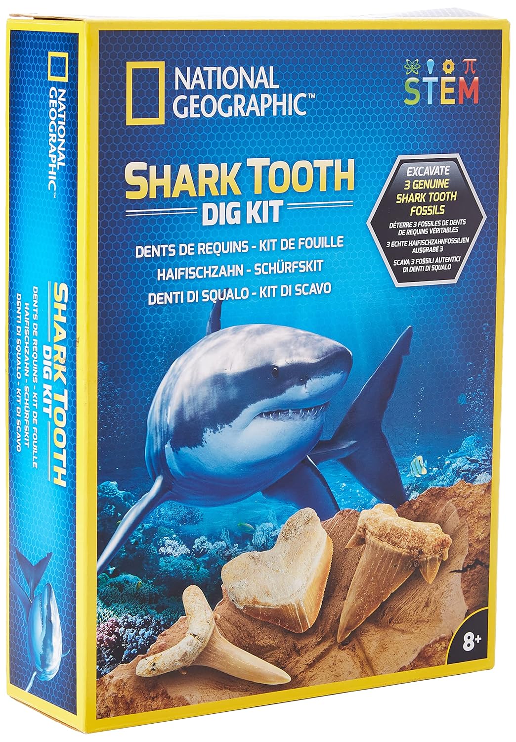 Amazon.com: National Geographic Shark Tooth Dig Kit - Fascinating ...