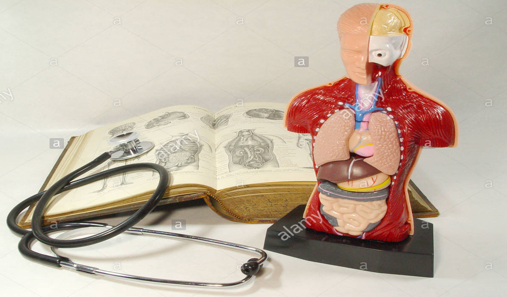 100% PERFECT HUMAN ANATOMY & PHYSIOLOGY - App on the Amazon Appstore