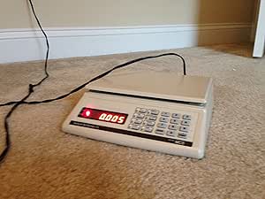 Amazon.com: Transcell Báscula digital de alta resolución TCS3T : Salud ...