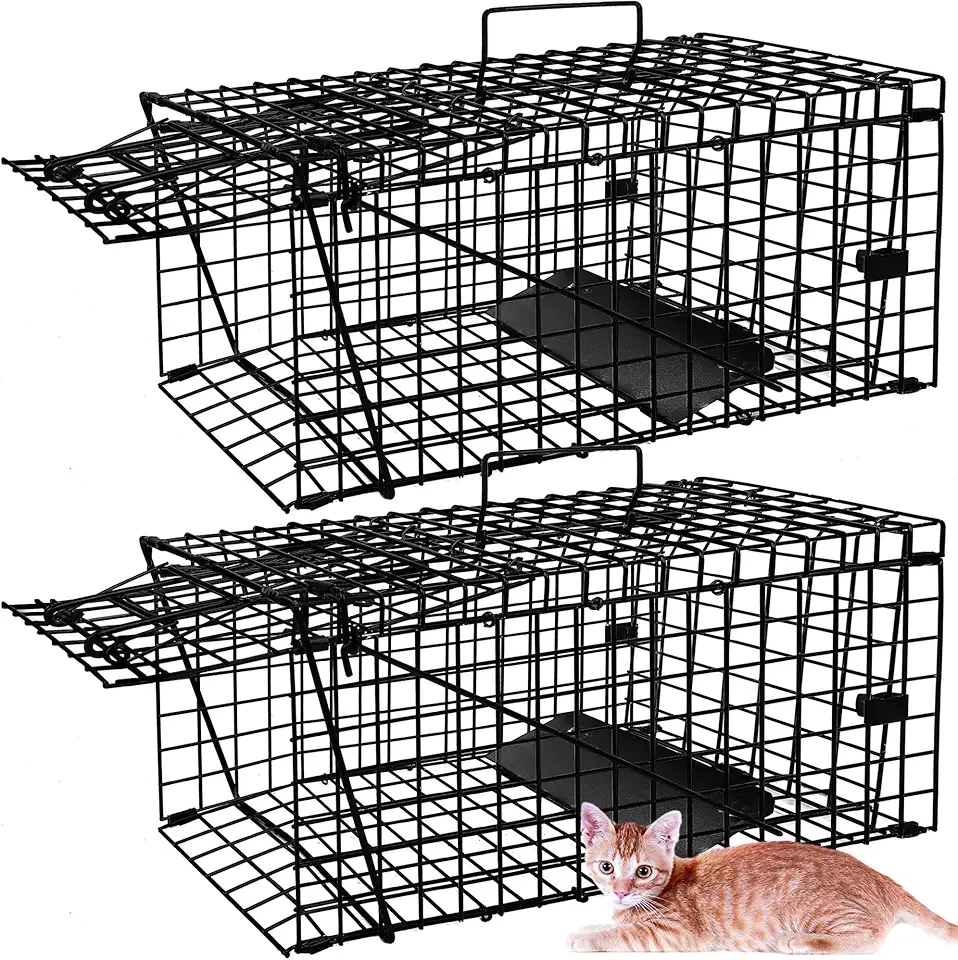 Trapping Feral Cats: Using Drop Traps For Effective Capture | PetShun
