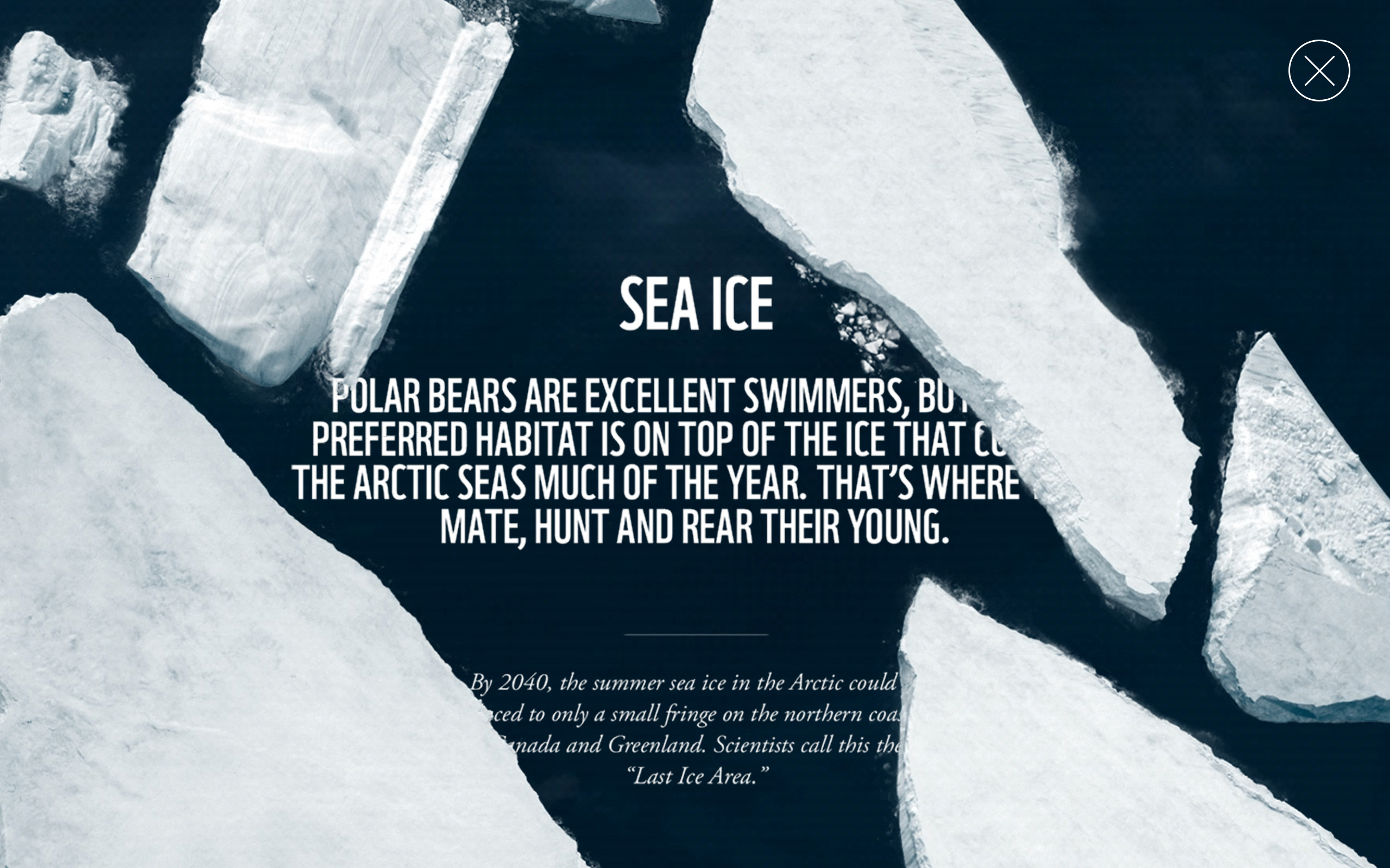 WWF Together - App on the Amazon Appstore