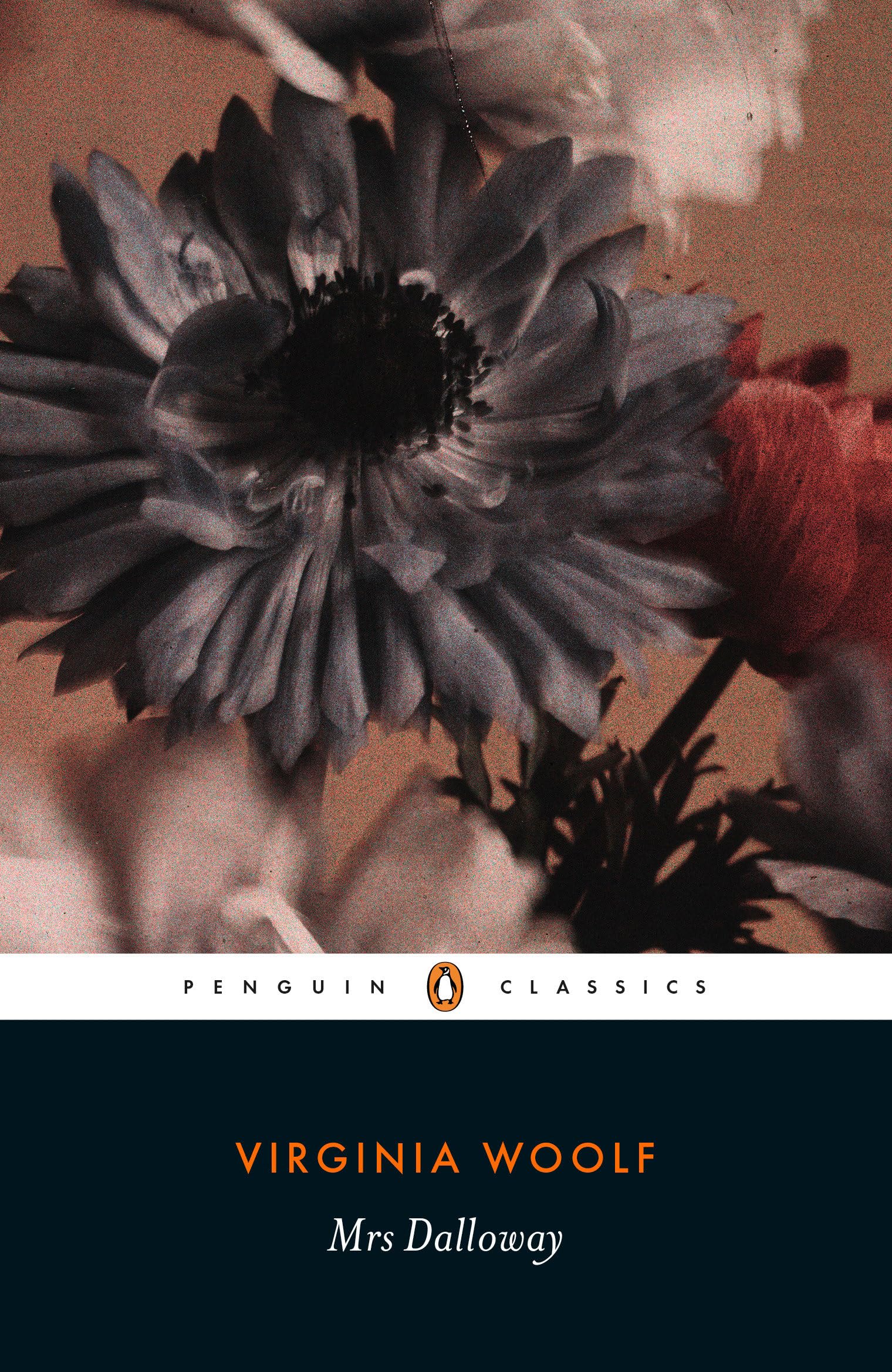 Buy Mrs Dalloway Book Online at Low Prices in India | Mrs Dalloway ...