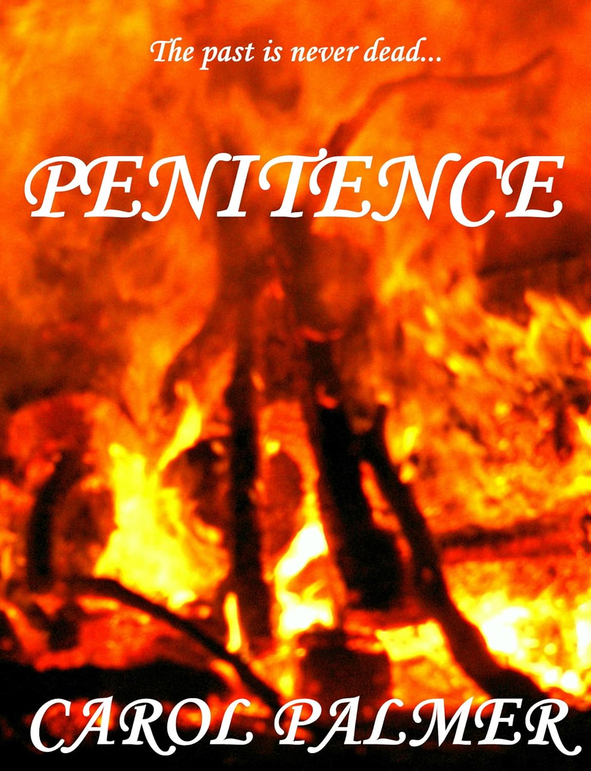 Amazon.com: Penitence eBook : Palmer, Carol: Books