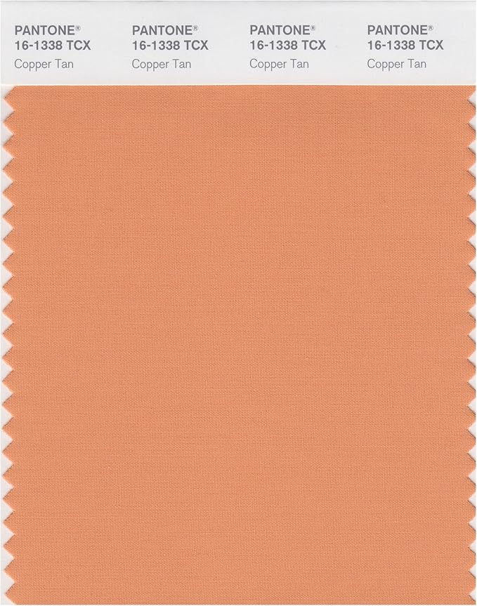 PANTONE Smart 16-1338X Color Swatch Card, rame marrone chiaro : Amazon ...