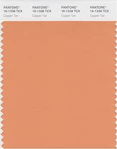PANTONE Smart 16-1338X Color Swatch Card, rame marrone chiaro : Amazon ...