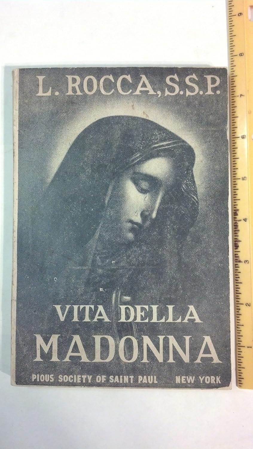 Vita Della Madonna: D. M. Luca Rocca: Amazon.com: Books