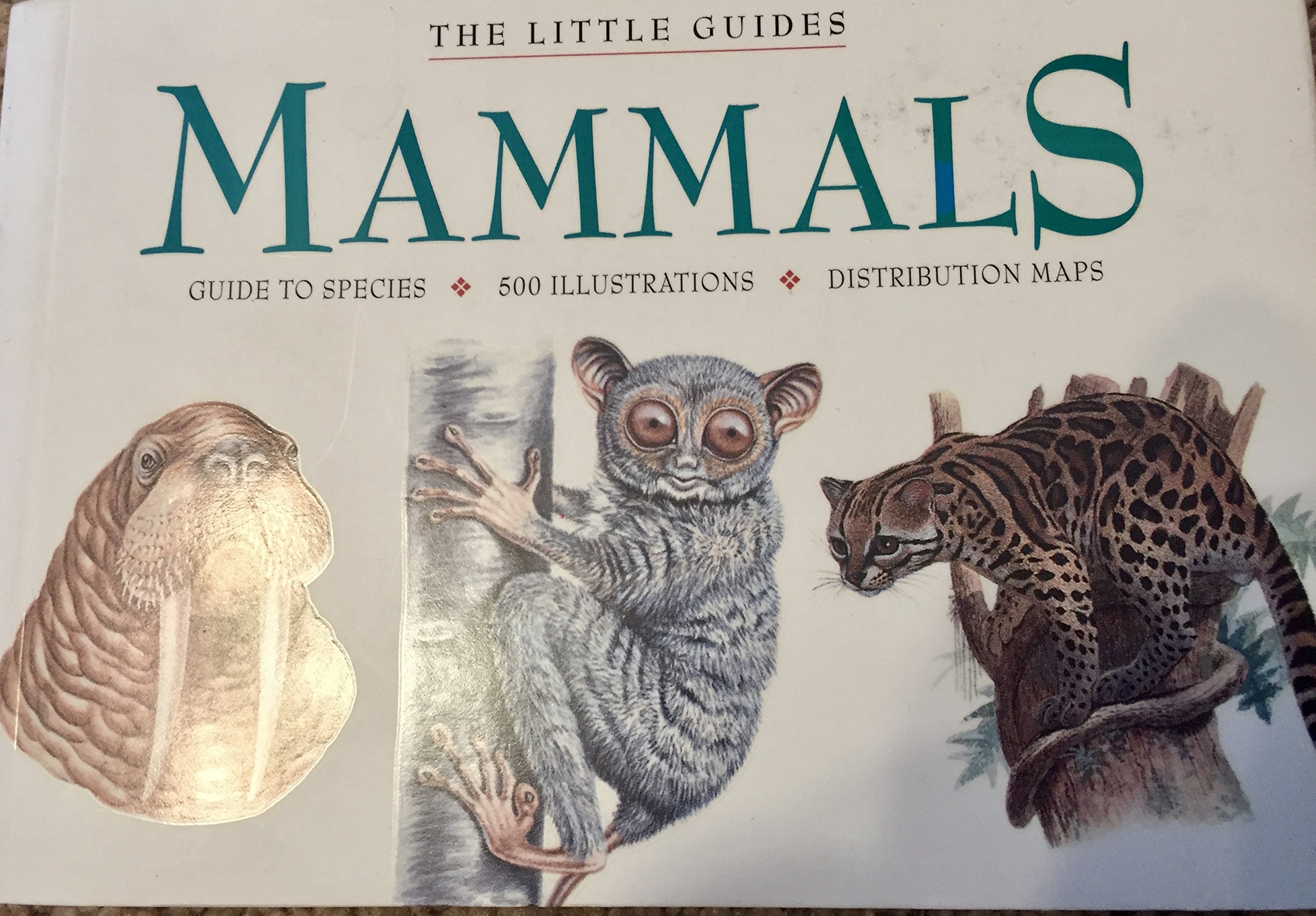 Mammals (Little Guides): McKay, George: 9781875137596: Amazon.com: Books