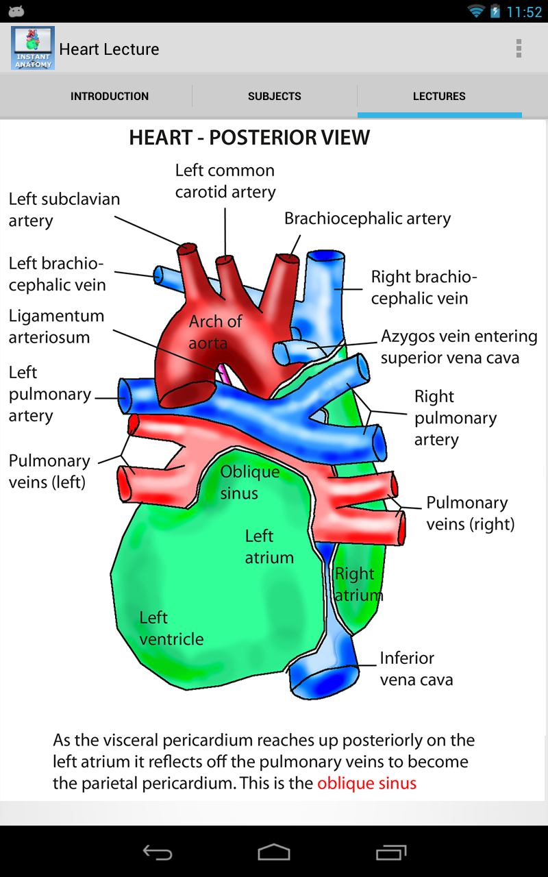Anatomy of the Heart Lecture:www.amazon.com:Appstore for Android