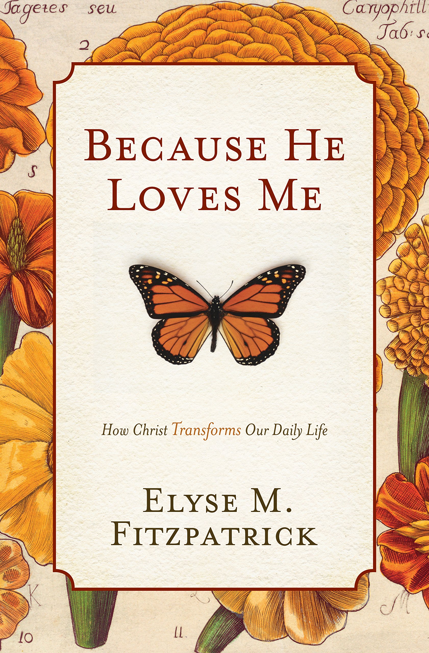 Because He Loves Me: How Christ Transforms Our Daily Life: Fitzpatrick ...