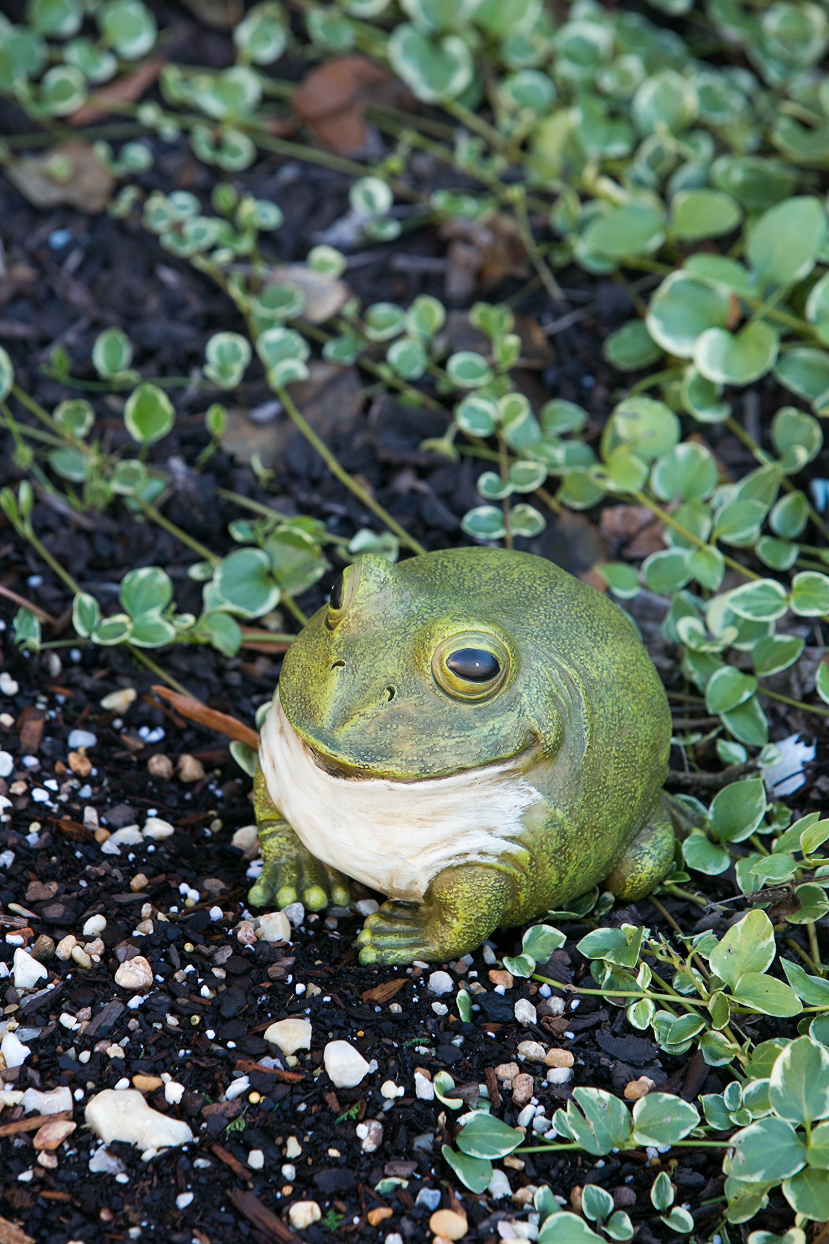 Snapklik.com : Evergreen Cute Portly Frog Outdoor Statue And Secret Key ...
