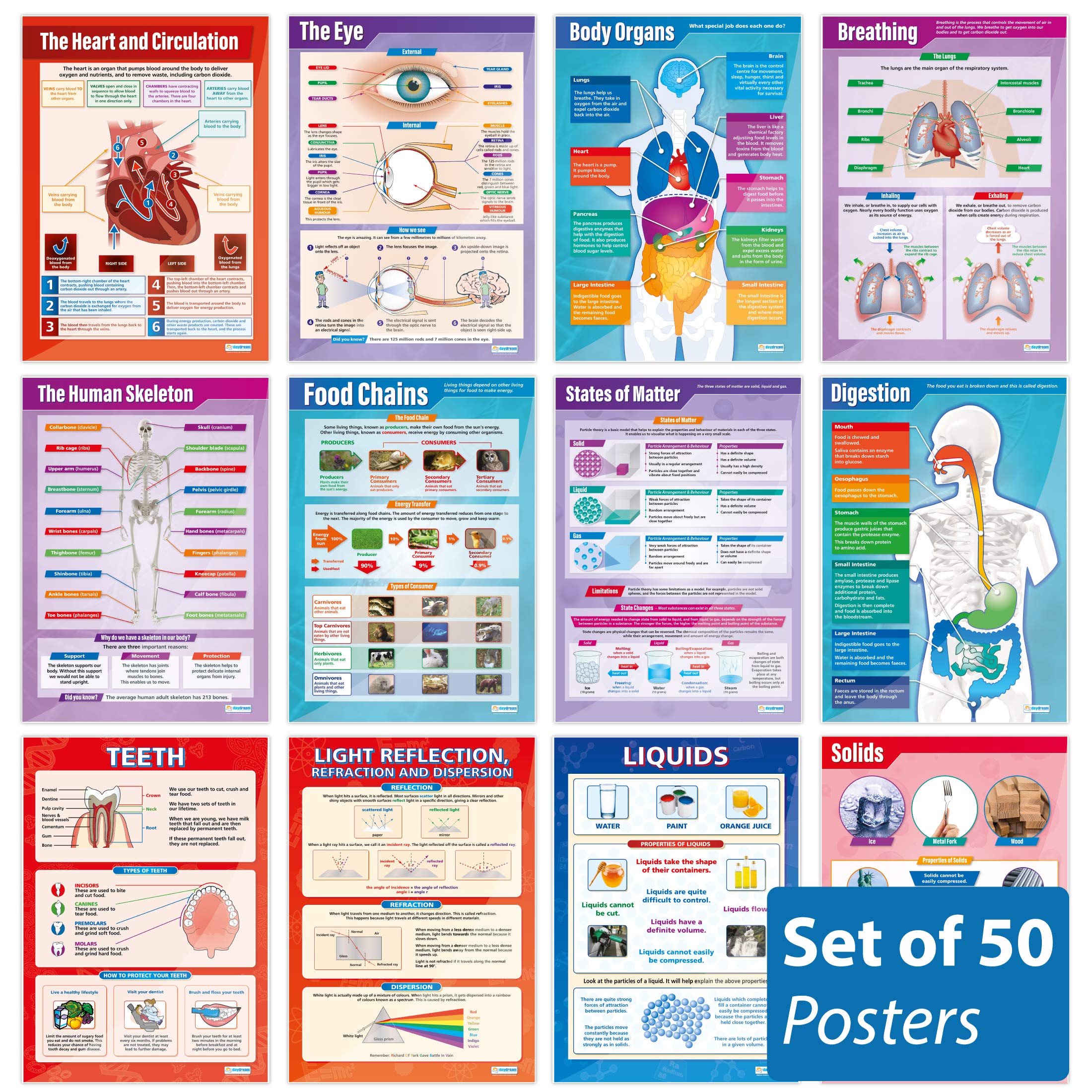 Daydream Education Science Classroom Posters - Set of 50 - Gloss Paper ...