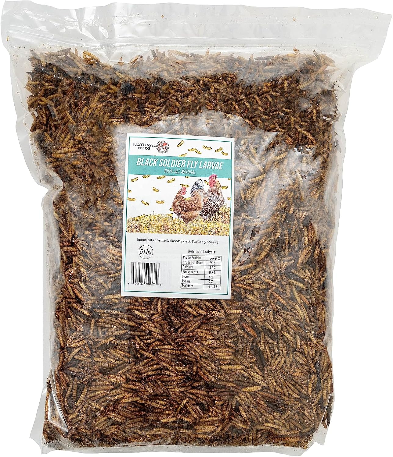 Amazon.com: Natural Feeds Dried Black Soldier Fly Larva for Chickens ...