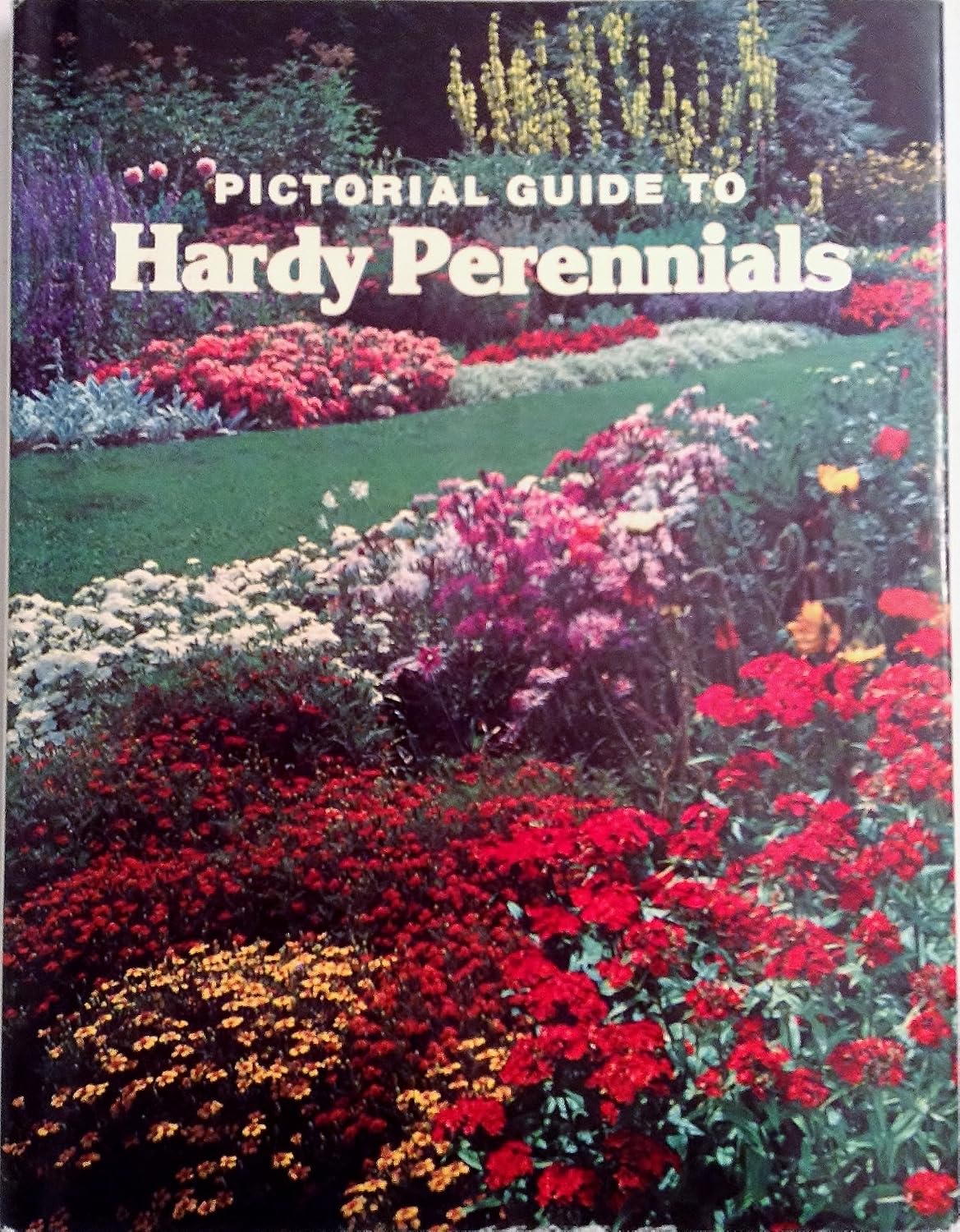 Pictorial Guide to Hardy Perennials: Amazon.co.uk: 9780894840913: Books