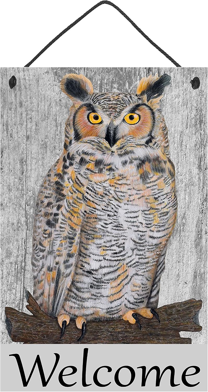 Amazon.com: Welcome Sign Owl Bird 6 X 8 Inch Art Hanging Plaque Wall ...