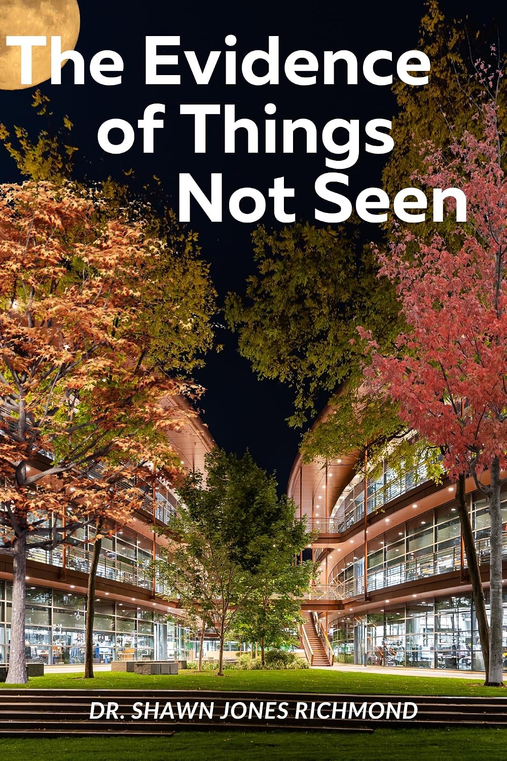 The Evidence of Things Not Seen: A contemporary novel of a family in ...