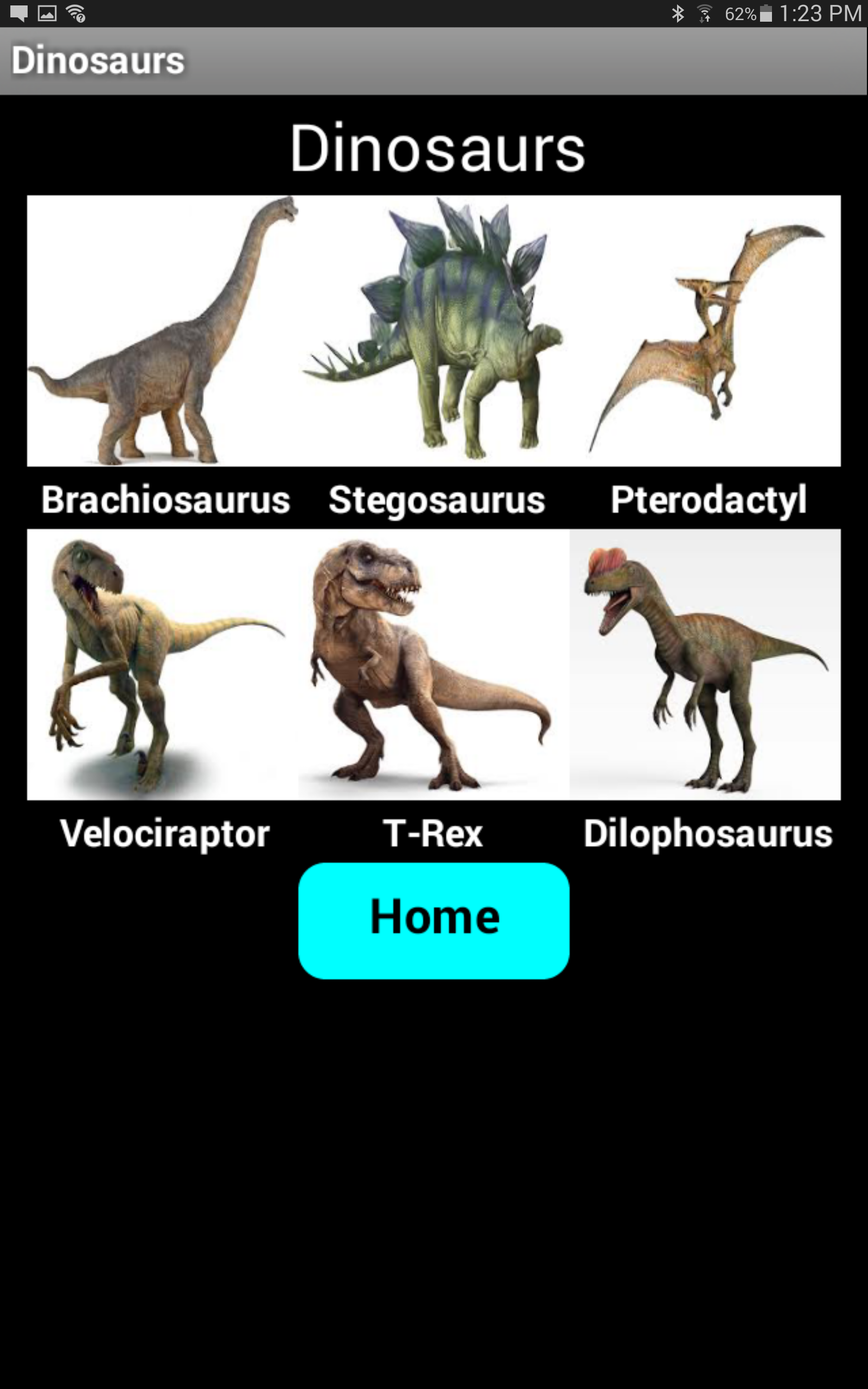 Animal Chatter Lite - App on Amazon Appstore