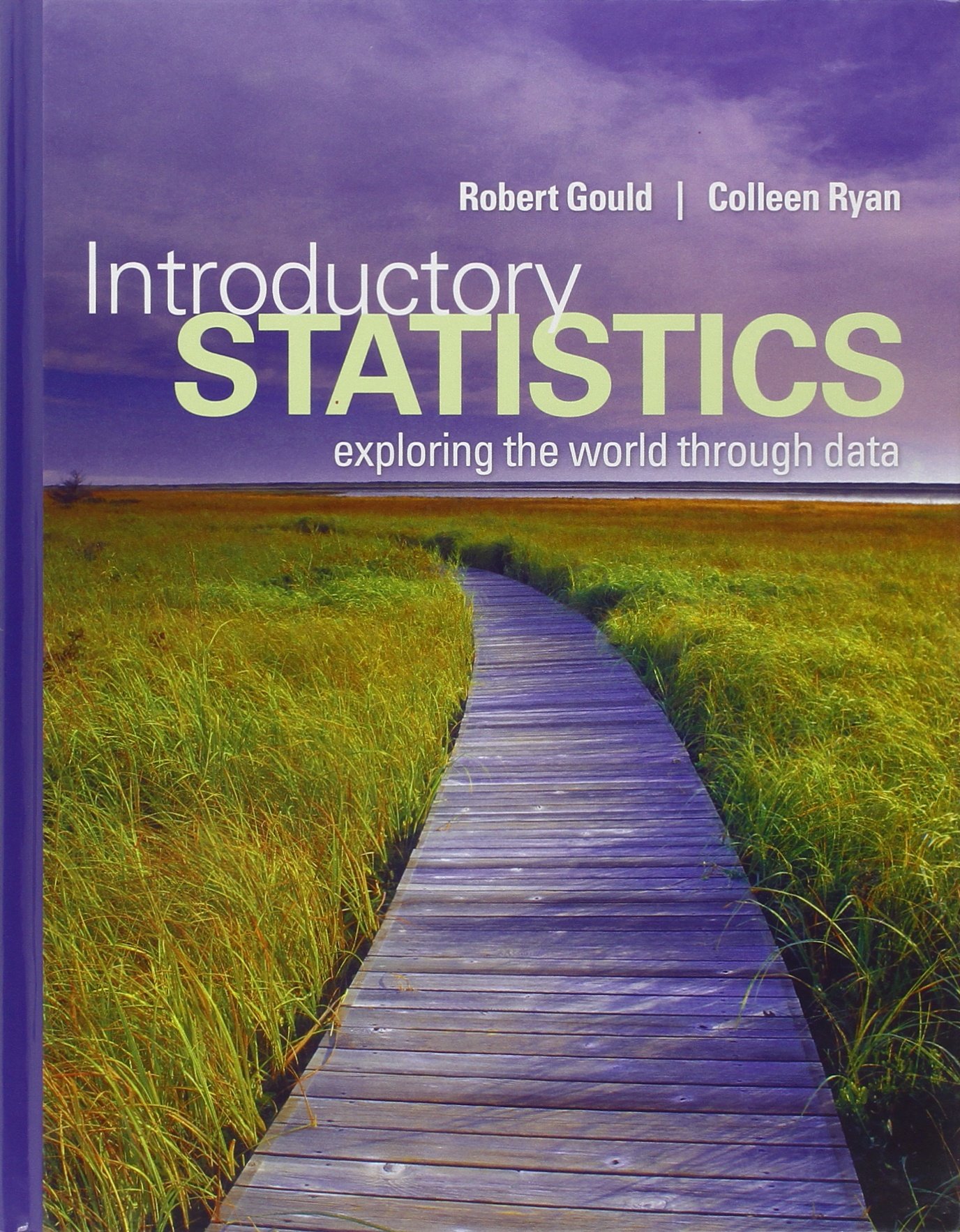 Amazon.com: Introductory Statistics: Exploring the World Through Data ...