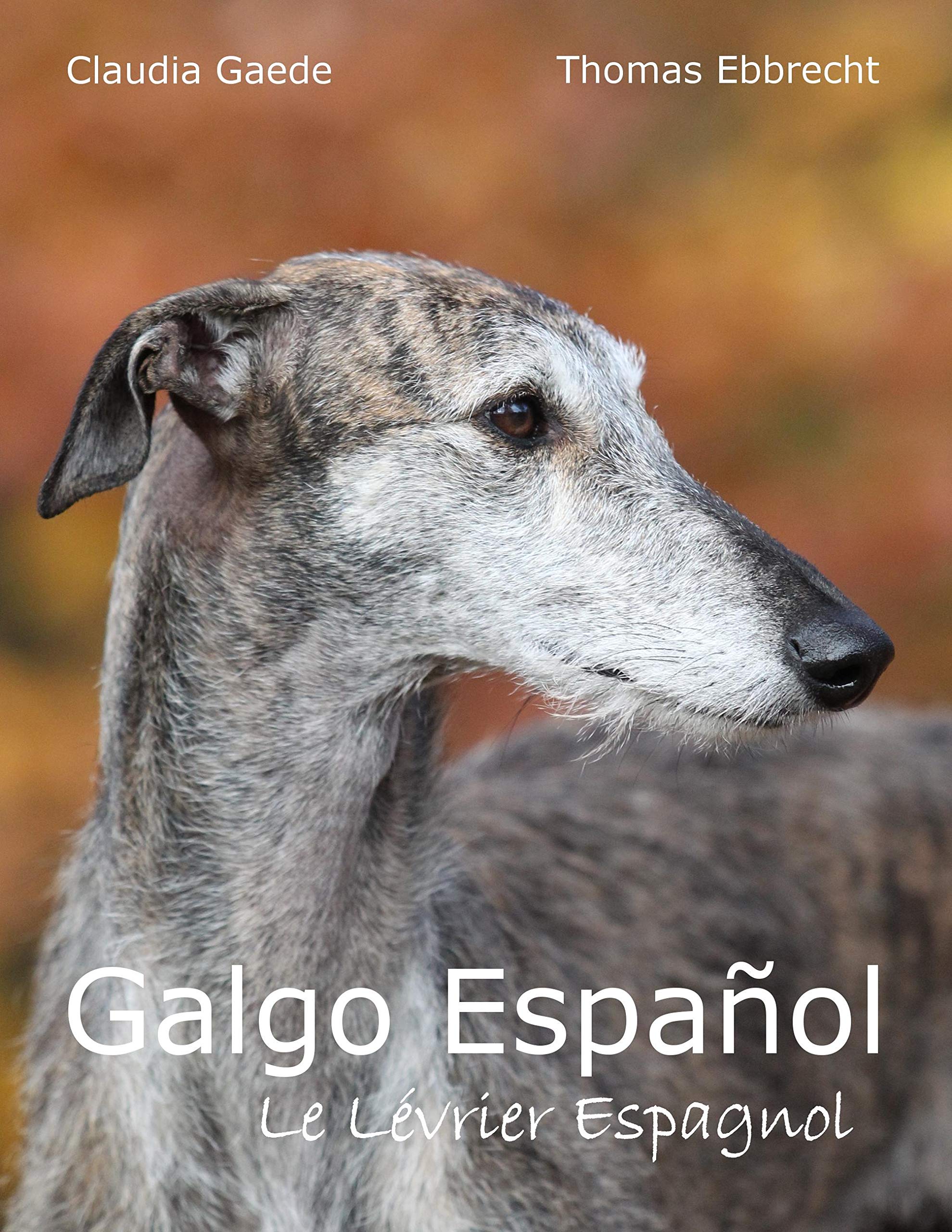 Por Qué Me Pica Mi Galgo Polaco