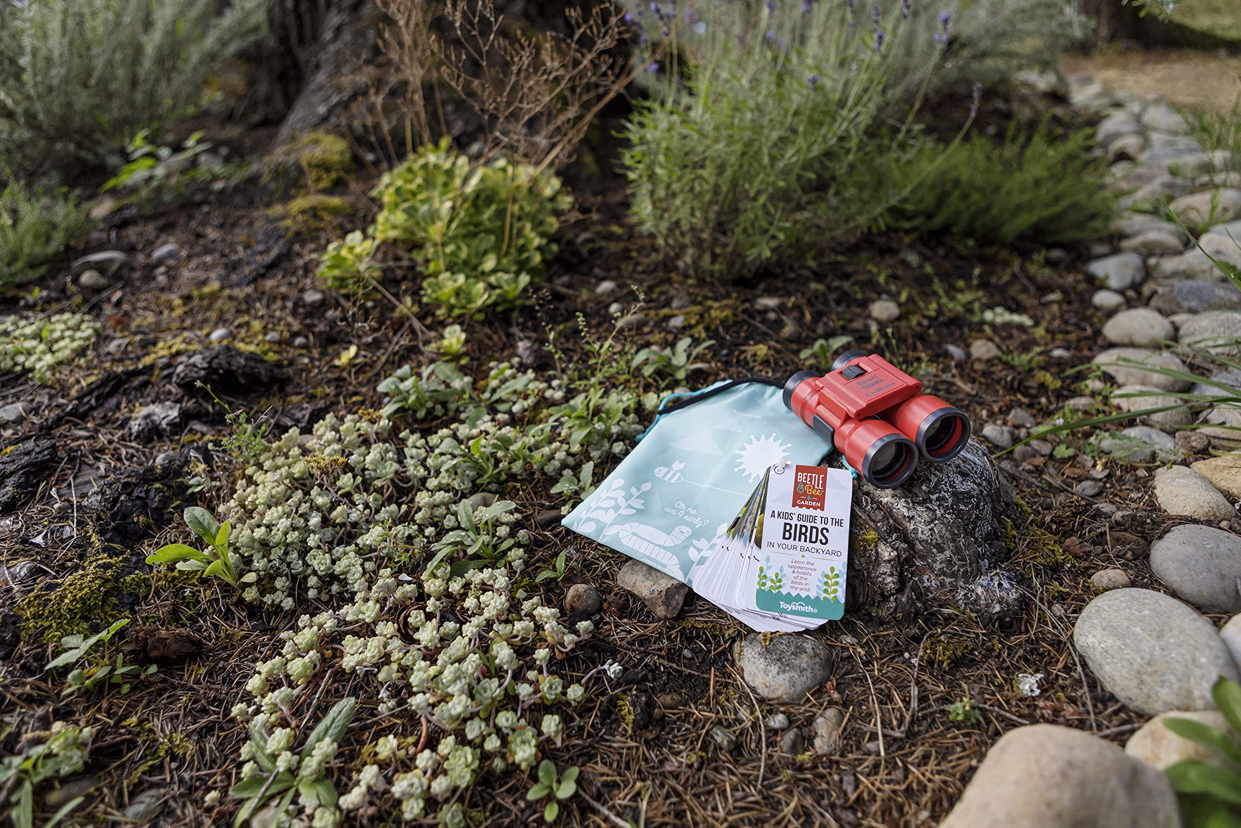 Snapklik.com : Beetle & Bee, Little Birder Set, Kids Backyard Bird ...