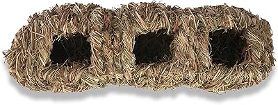 Amazon.com : Lantern Hill Small Bird Roosting Condo/Birdhouse ...