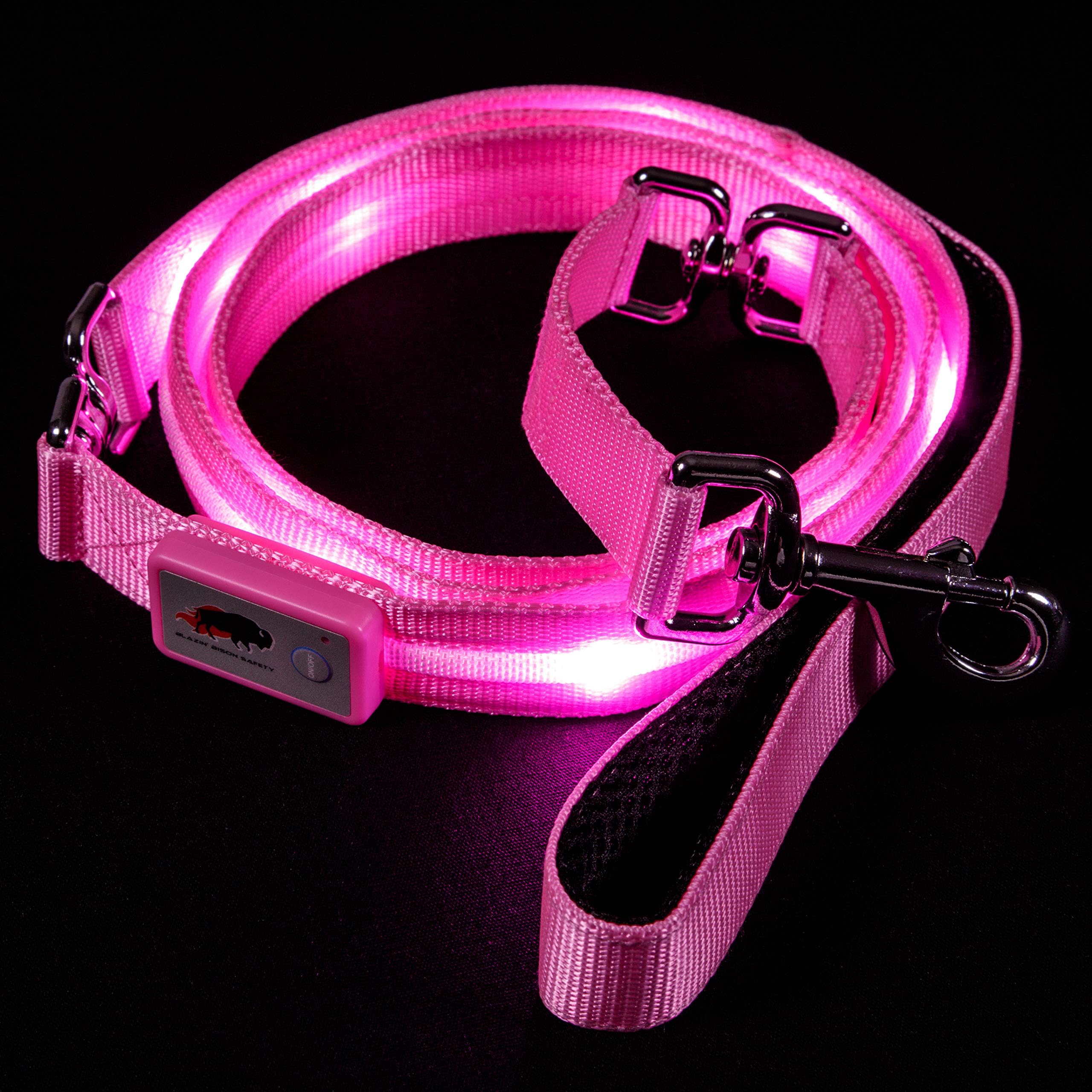 Amazon.com : Blazin' Safety LED Dog Leash - USB Rechargeable Flashing ...
