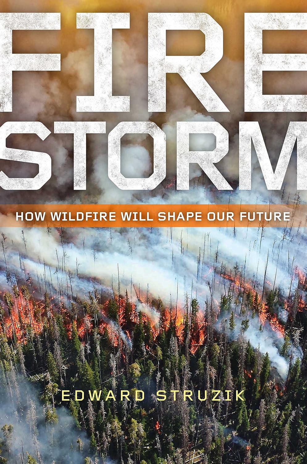 Firestorm: How Wildfire Will Shape Our Future: Struzik, Edward ...