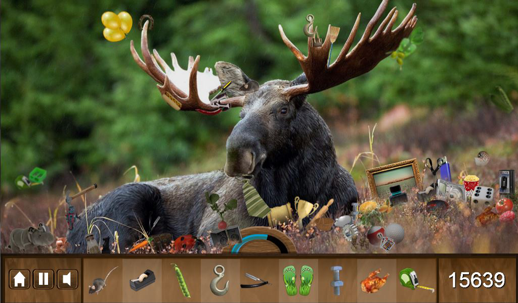 Hidden Object - Animals Gone Wild - App on Amazon Appstore