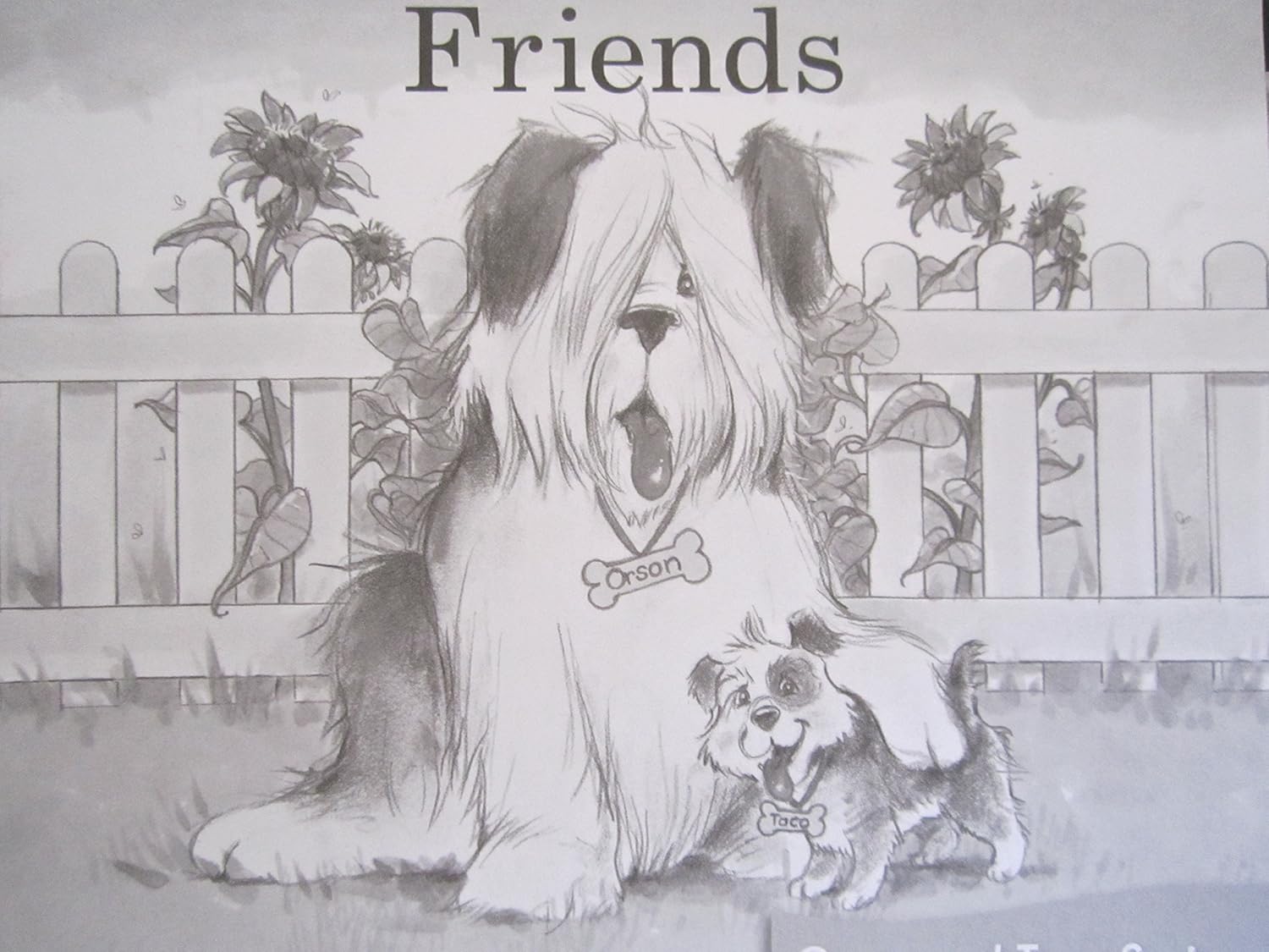 Friends (Fountas and Pinnell Leveled Literacy Intervention Books, Green ...