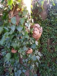 Garden Mile® Fairy Garden Elf Tree Peeker Novelty Resin Garden ...