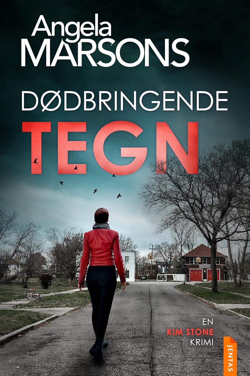 Dødbringende tegn (Kim Stone Book 13) (Danish Edition) eBook : Marsons ...