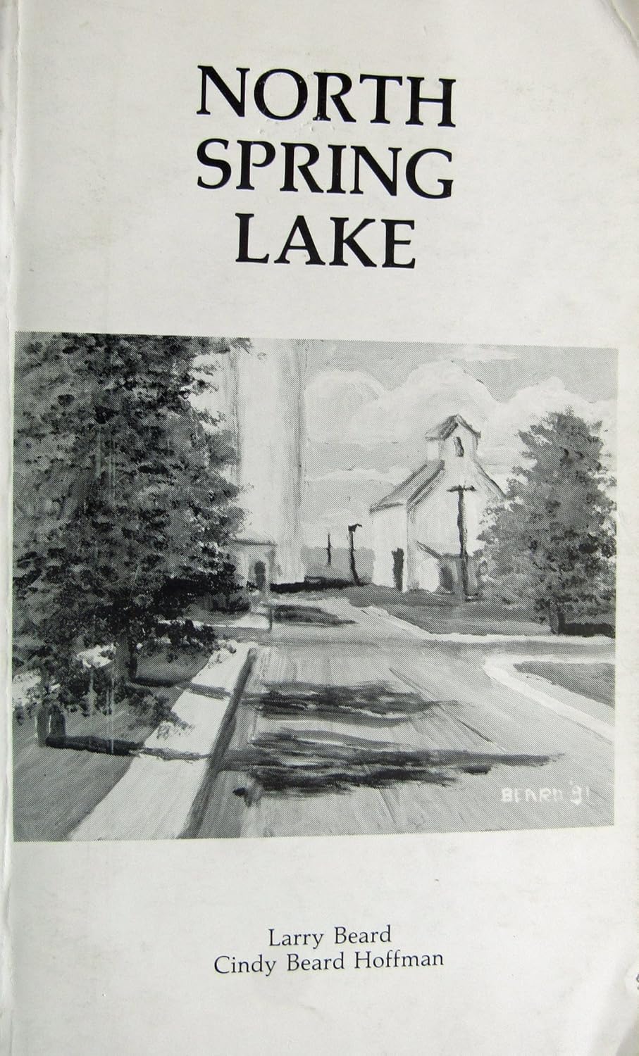 NORTH SPRING LAKE: Larry Beard, Cindy Beard Hoffman: Amazon.com: Books