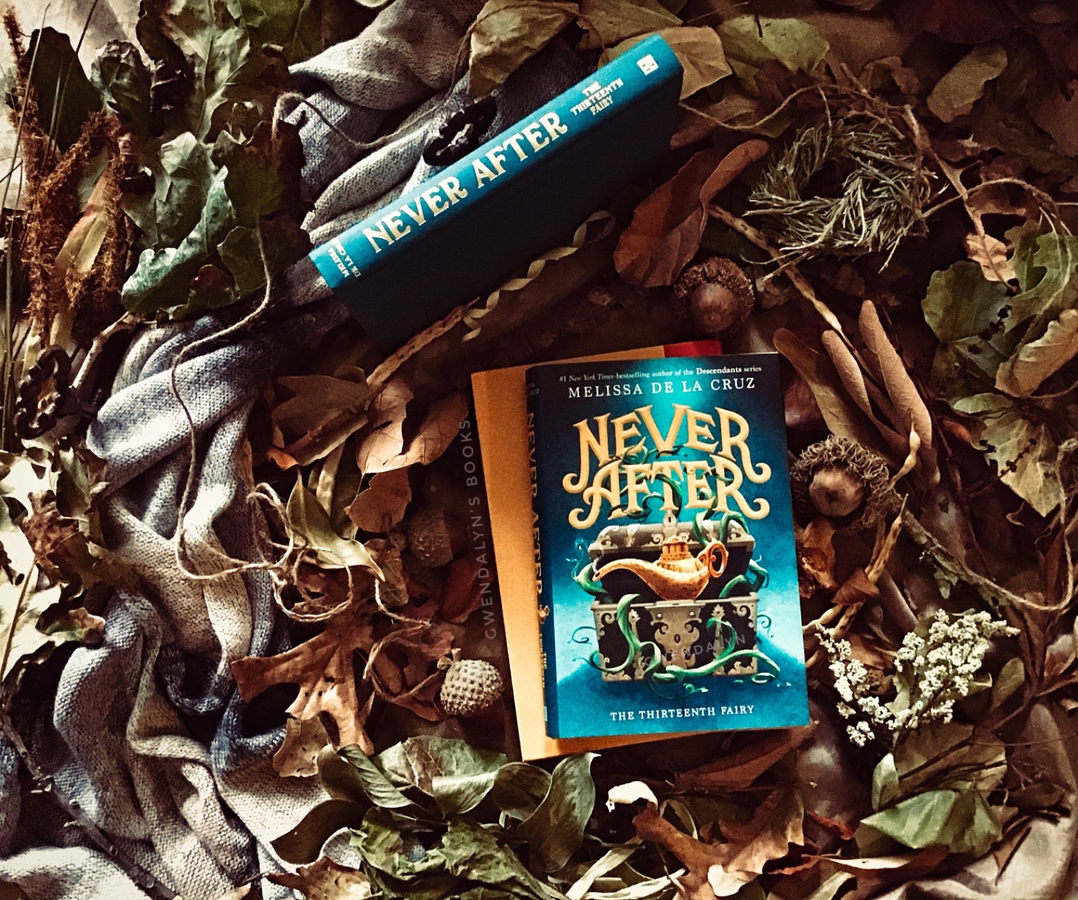 Never After: The Thirteenth Fairy (The Chronicles of Never After, 1 ...